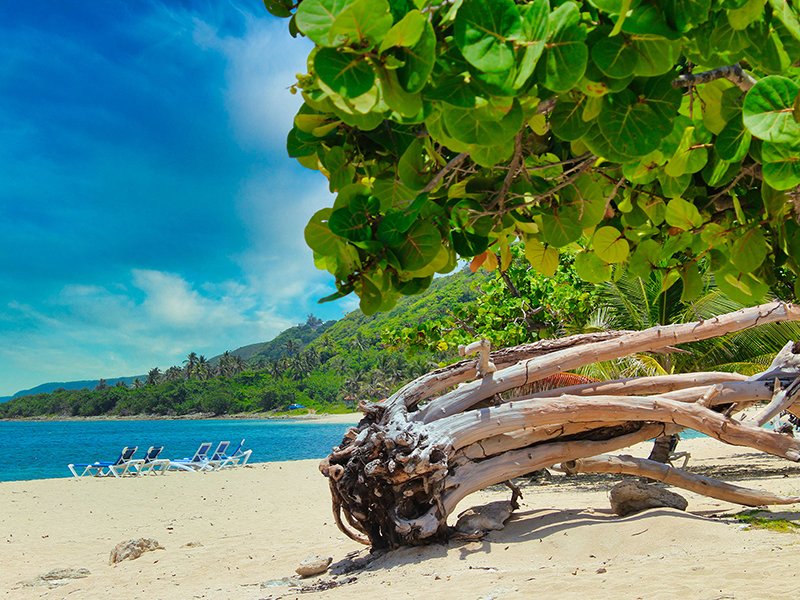 Hotel Starfish Jibacoa, Jibacoa, Cuba - Attractions